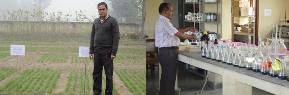 Welcome Krishi Vigyan Kendra, Rampur